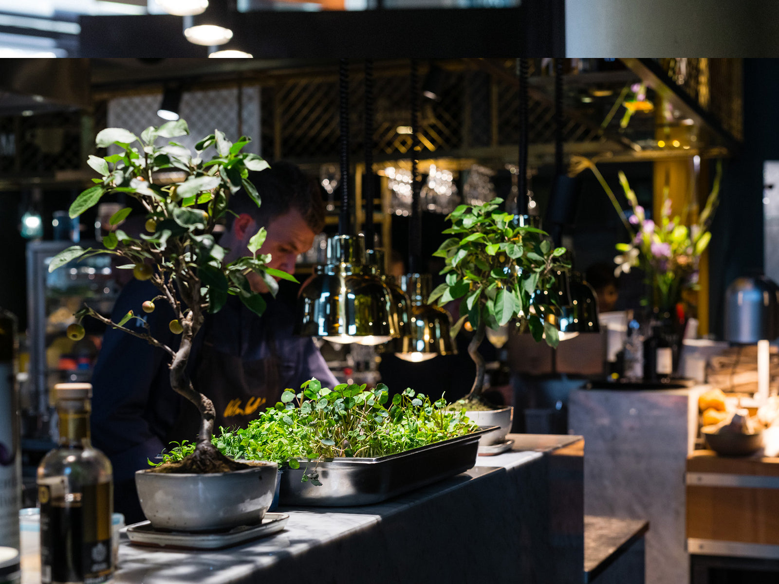 Kochkurs: Alles rund um Fisch – Nelson Müller Website